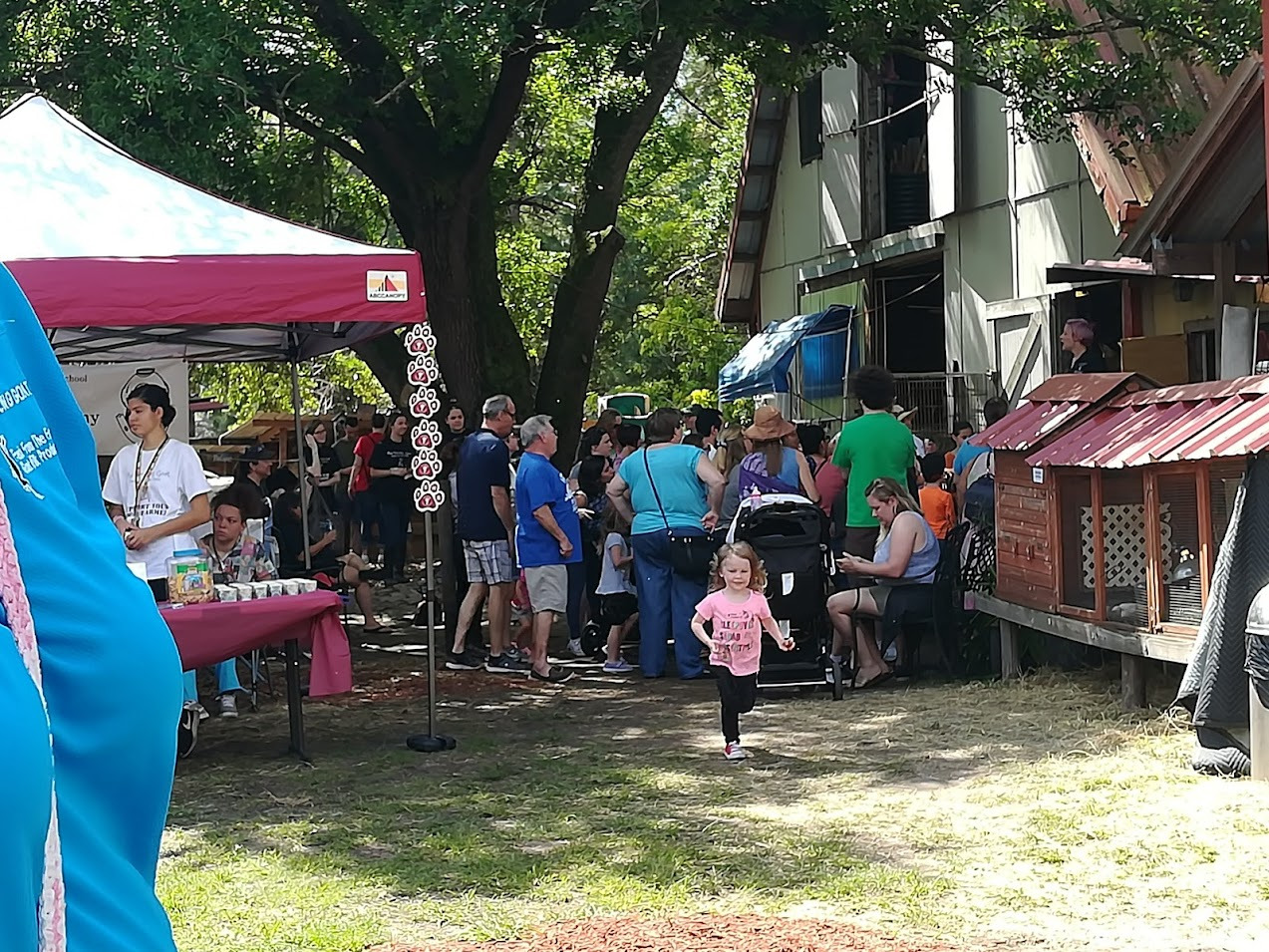 Farm Day - The Dancing Goat Dairy