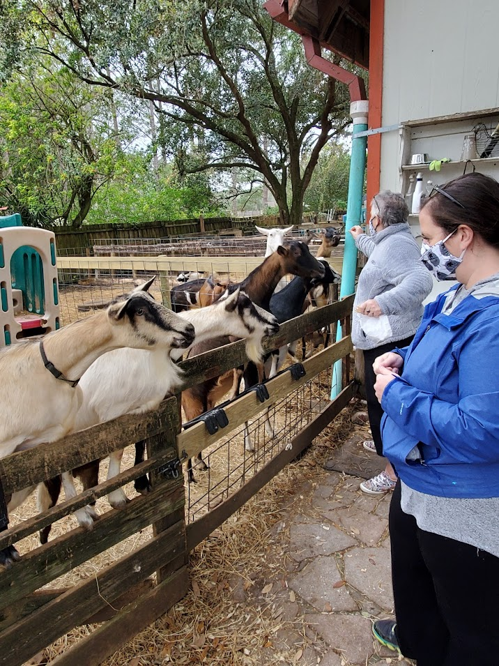 Visit - The Dancing Goat Dairy